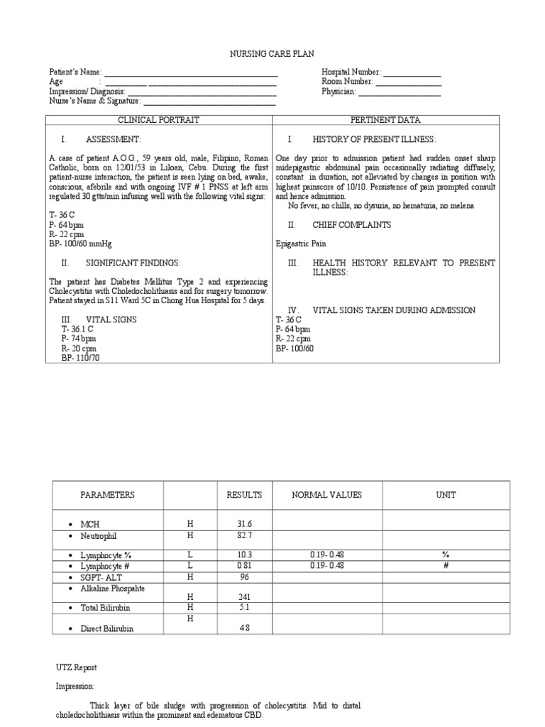 Nursing Care Plan (Clinical Portrait) | PDF