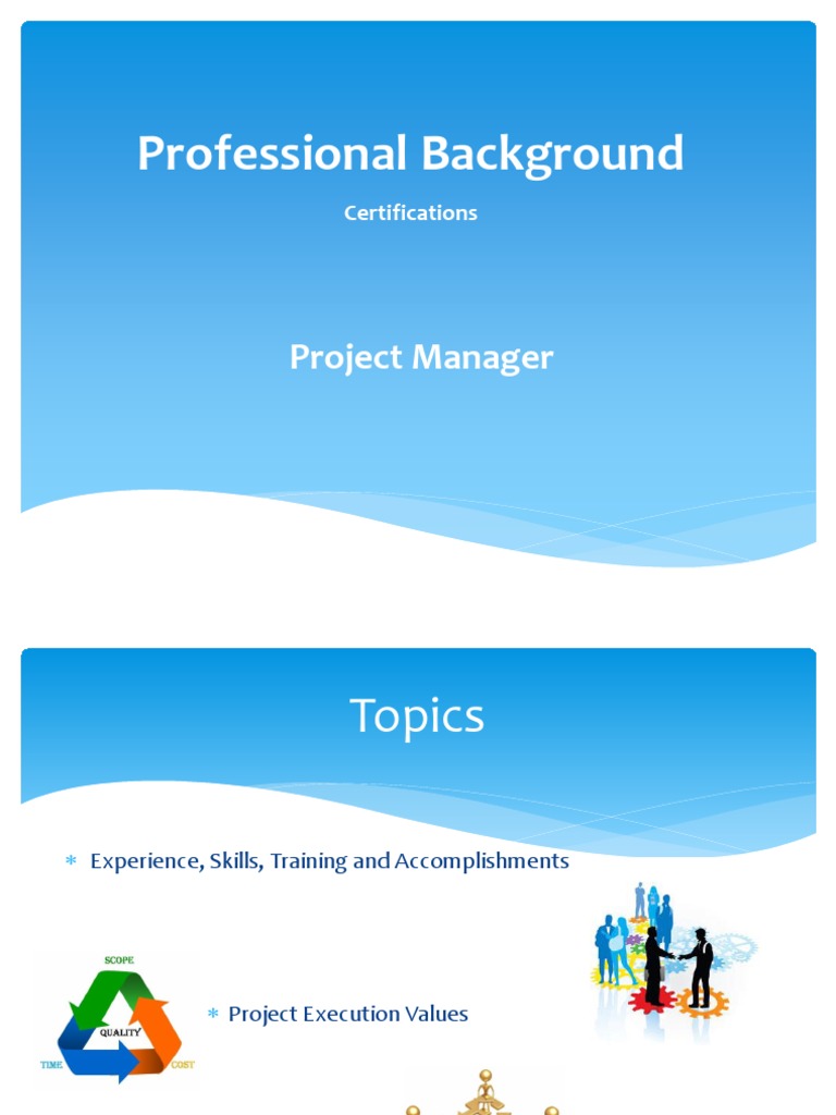 Project Manager Professional Profile | PDF