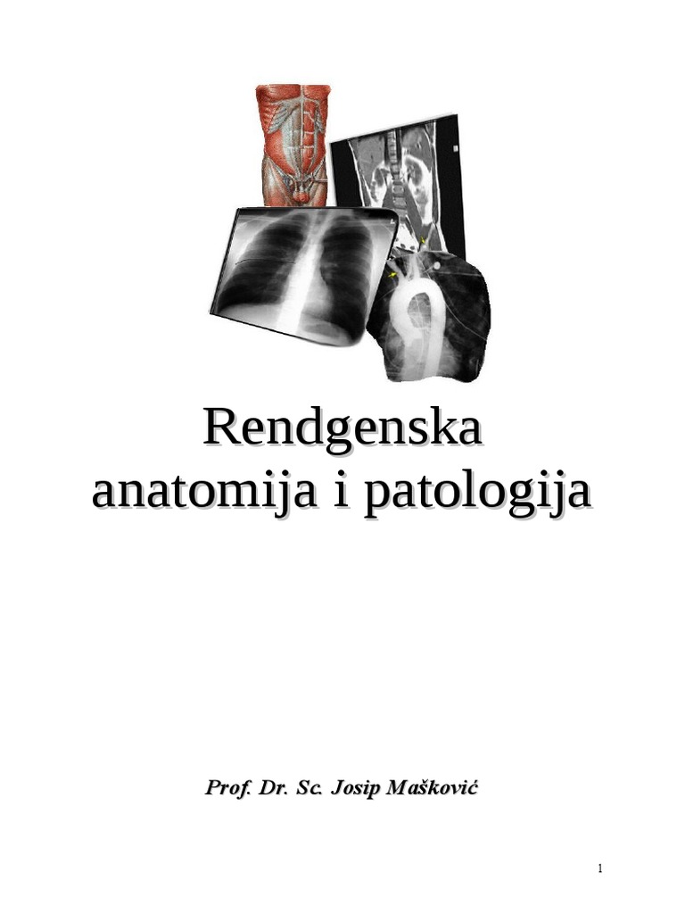 Anatomija Skripta | PDF