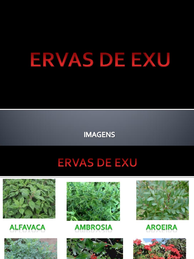 Apostila Ervas de Exu | PDF