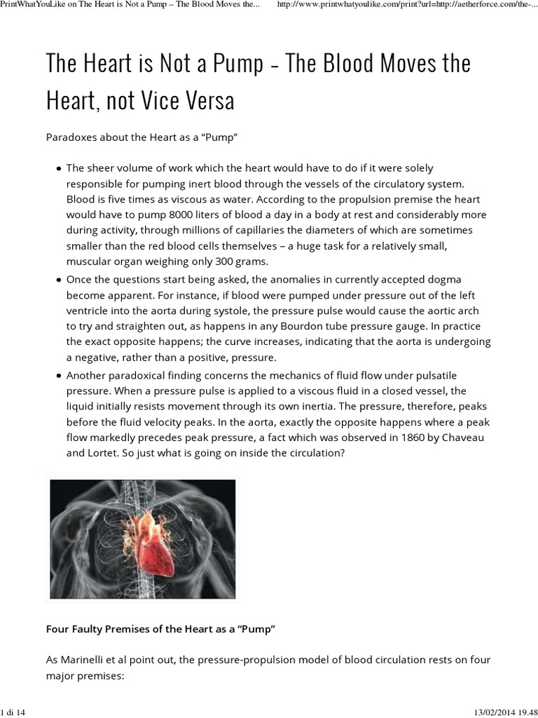 The Heart is Not a Pump – The Blood Moves the Heart, not Vice Versa ...