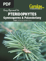 Stele and Its Types - BS Bot 5s Dr. Farhat Raas Masood | PDF | Plant ...