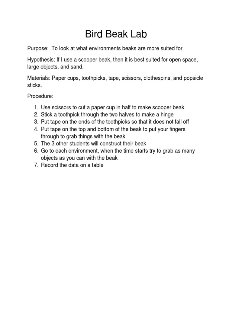 Bird Beak Lab | PDF | Natural Selection | Adaptation