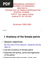Anatomy of the Pelvis Explained | PDF | Pelvis | Vertebra