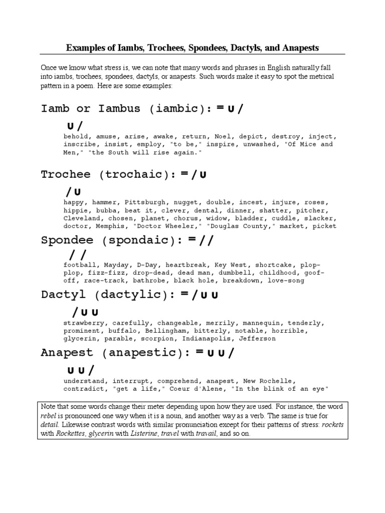 Iambs, Trochees, Spondees, Etc | PDF