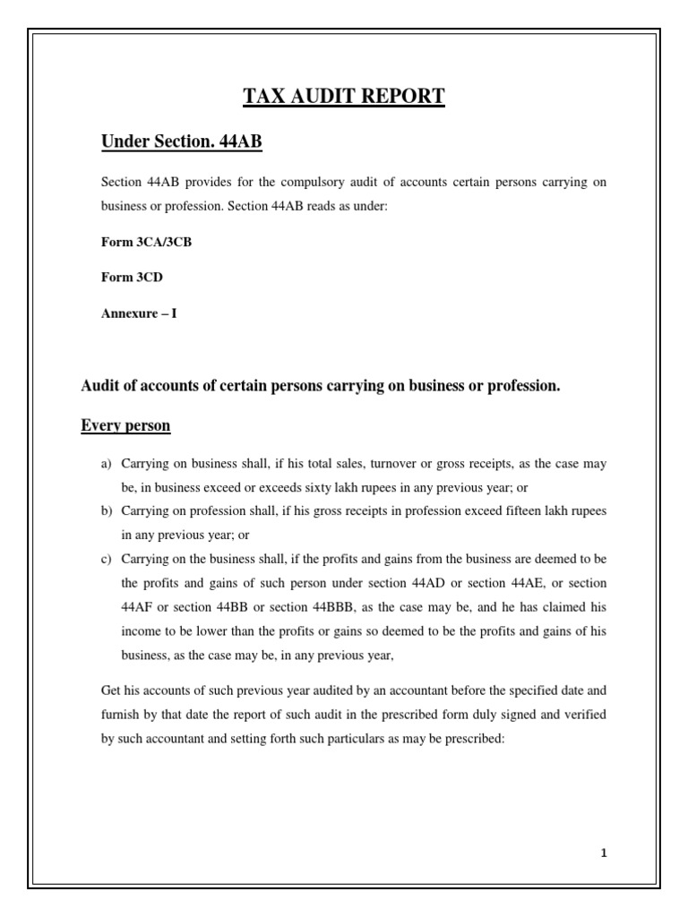 Tax Audit Project - Final | PDF | Accountant | Revenue