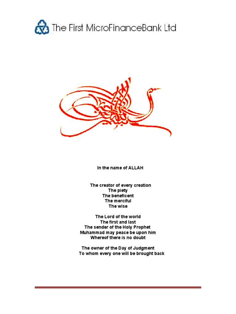 An Executive Summary of The First Microfinance Bank Ltd: Providing ...