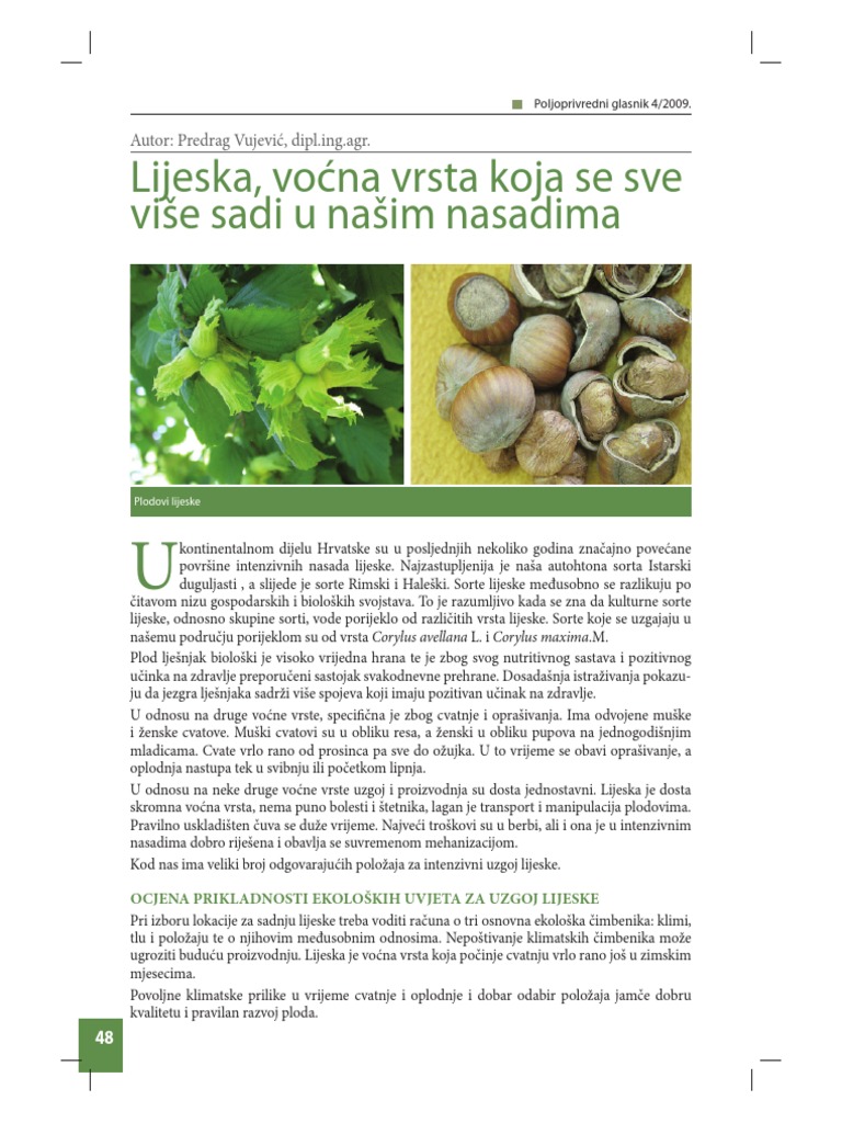 Lijeska