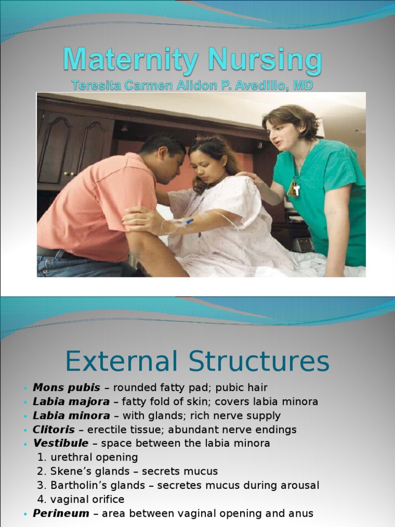 Maternity Nursing | PDF | Menstrual Cycle | Childbirth