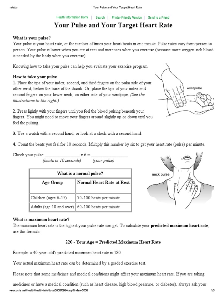 Your Pulse and Your Target Heart Rate | PDF | Heart Rate | Physical ...