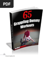 MCMAP Belt System | PDF | Combat | Combat Sports