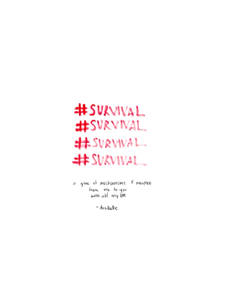 Survival Zine | PDF | Foreign Language Studies