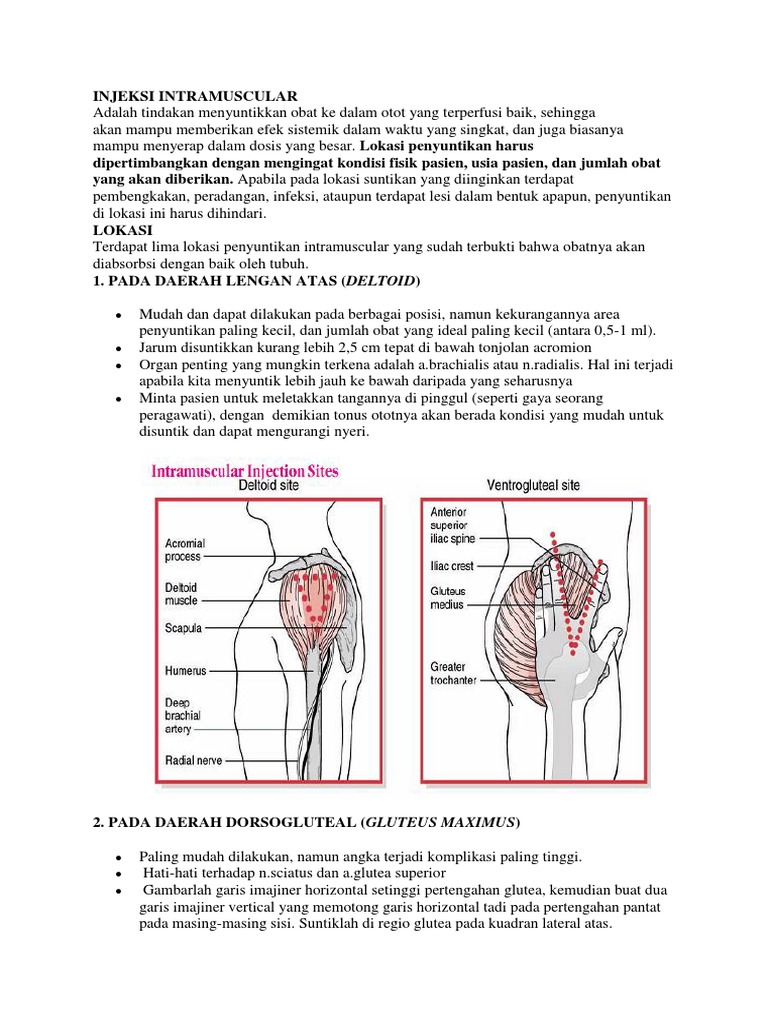 Injeksi Intramuscular | PDF | Sains & Matematika