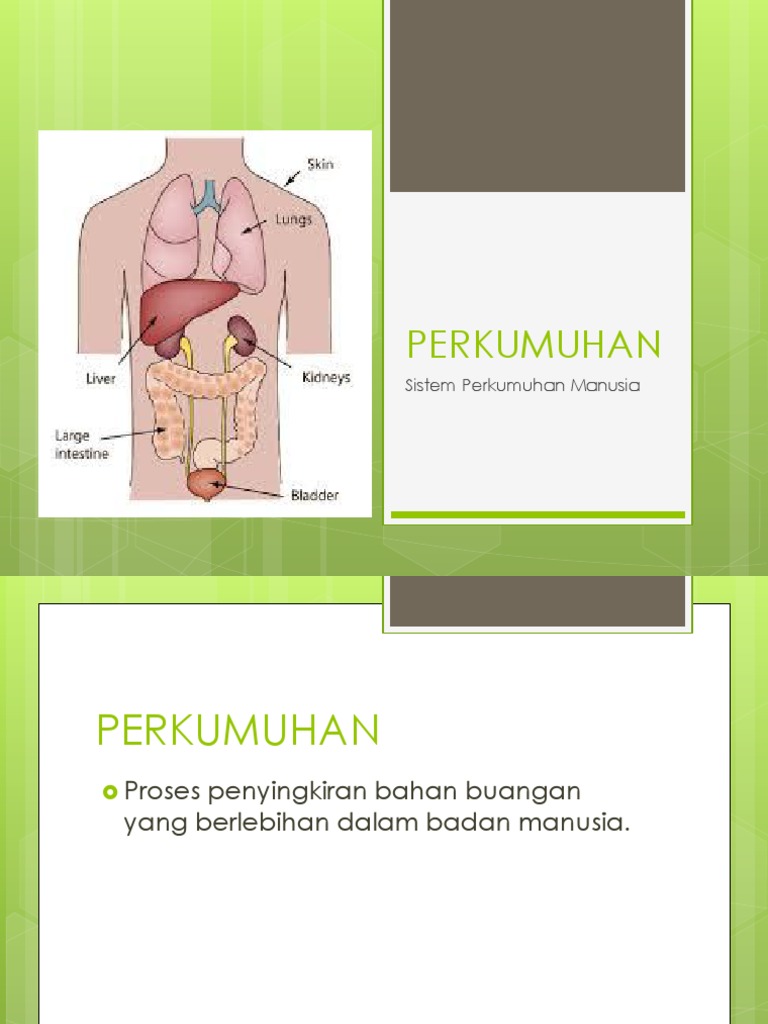 Bab 3 Perkumuhan (Sains Tingkatan 3) | PDF
