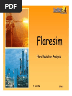 Manual Flare Sim Expro | PDF | Contour Line | Wound