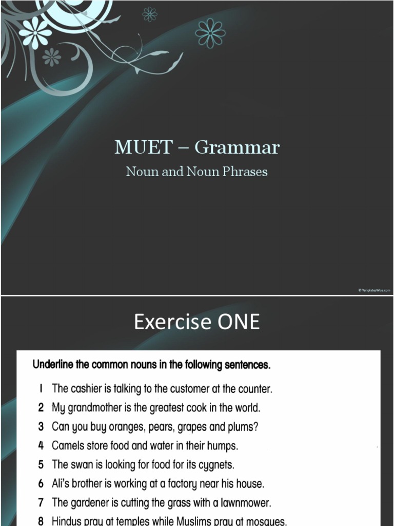 MUET - Grammar (Nouns) | PDF