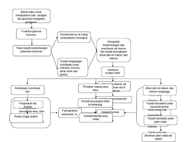 Woc Kejang Demam Cap!! | PDF