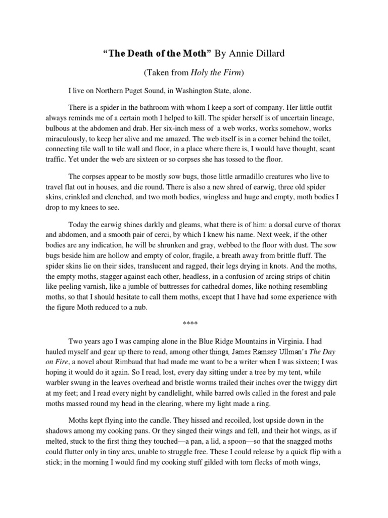 The Death of The Moth - Annie Dillard | PDF | Candle