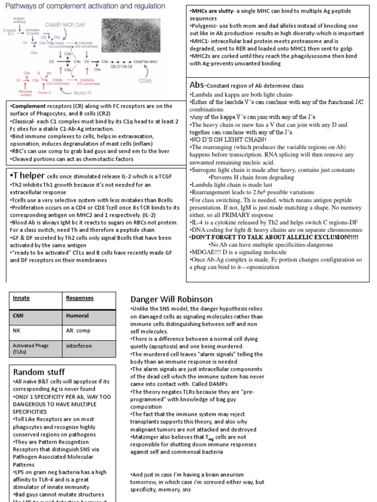 Immuno Cheat Sheet 1 | Download Free PDF | T Helper Cell | Immune System