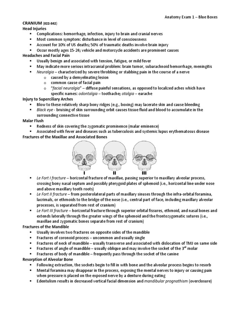 Blue Boxes Summary | PDF | Vertebra | Vertebral Column
