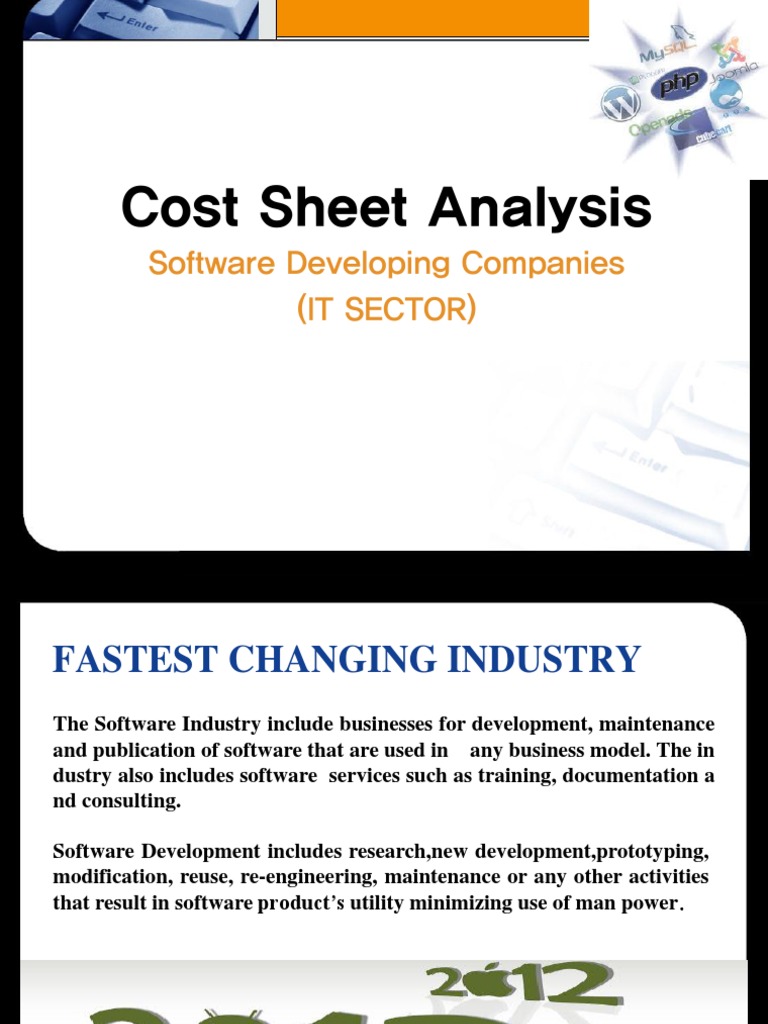 Cost Sheet Analysis of Software Companies | PDF | Economies ...