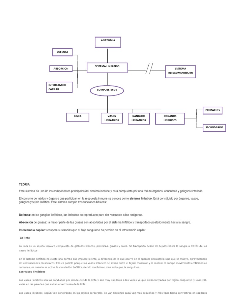 MENTEFACTO - Docx 2 | PDF | Sistema linfático | Ganglio linfático