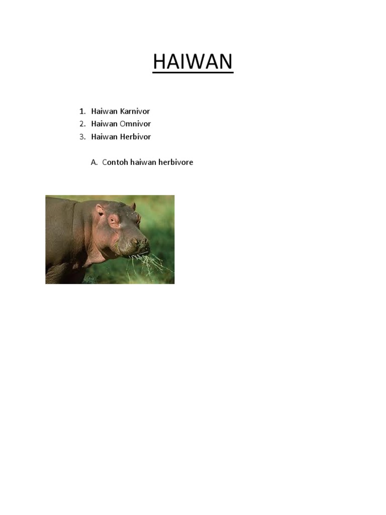 Jenis-jenis Haiwan dan Contohnya | PDF