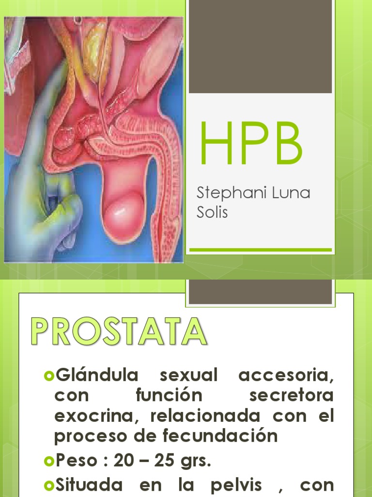 HPB | PDF | Urología | Especialidades Medicas