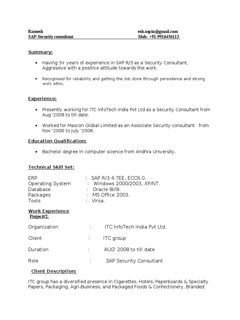 SAP Security Consultant Resume | PDF | Security Technology | Security ...