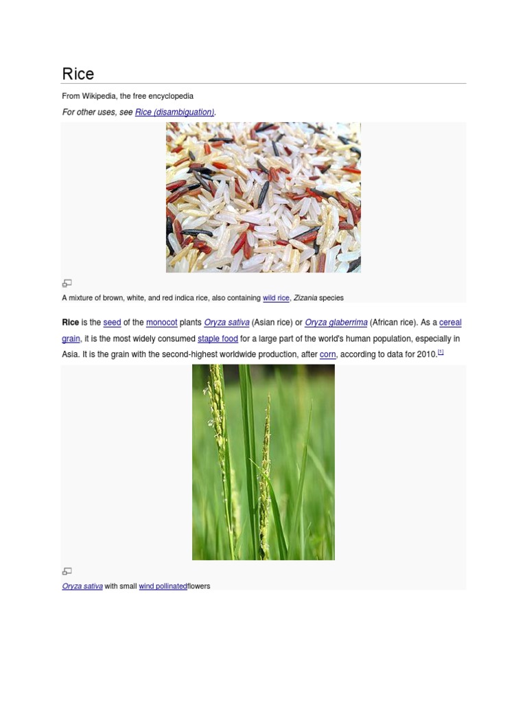 For Other Uses, See .: Rice (Disambiguation) | PDF | Rice | Cereals