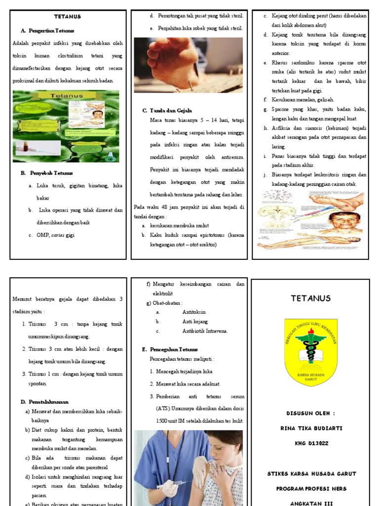 Leaflet Tetanus | PDF