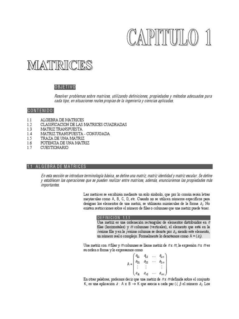 Algebra Lineal Joe García | PDF | Matriz (Matemáticas) | Funciones y mapeos