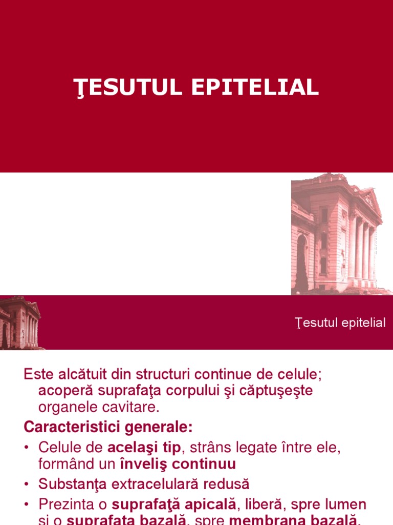 1) Tesutul Epitelial | PDF