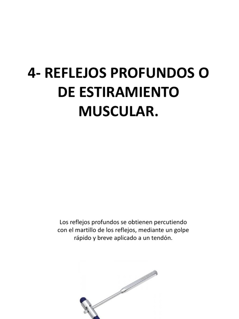 CODO Reflejos Profundos | PDF | Codo | Músculo