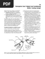 Skripta Iz Anatomije | PDF