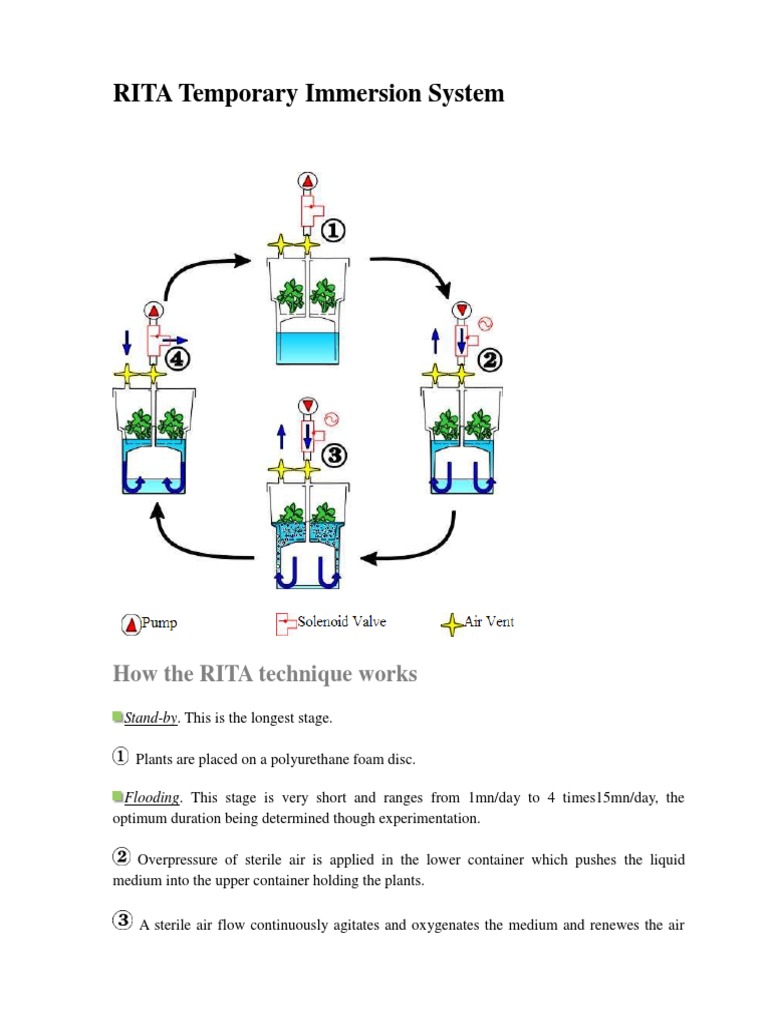 RITA Temporary Immersion System | PDF | Coffee | Horticulture And Gardening