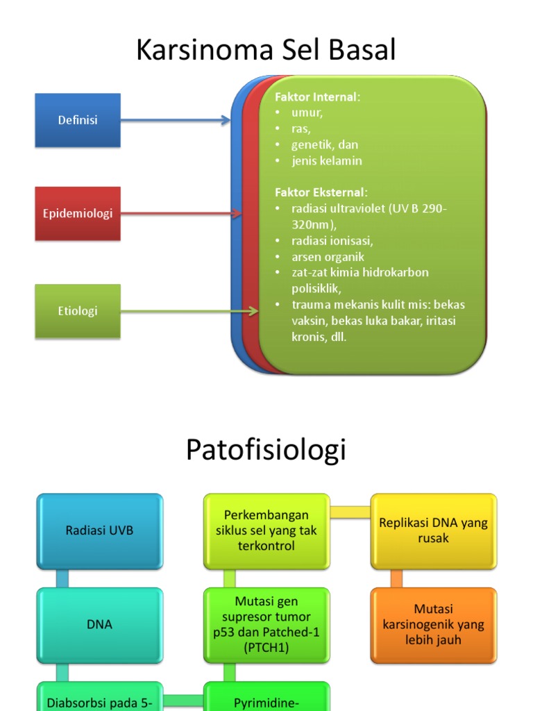 Karsinoma Sel Basal | PDF