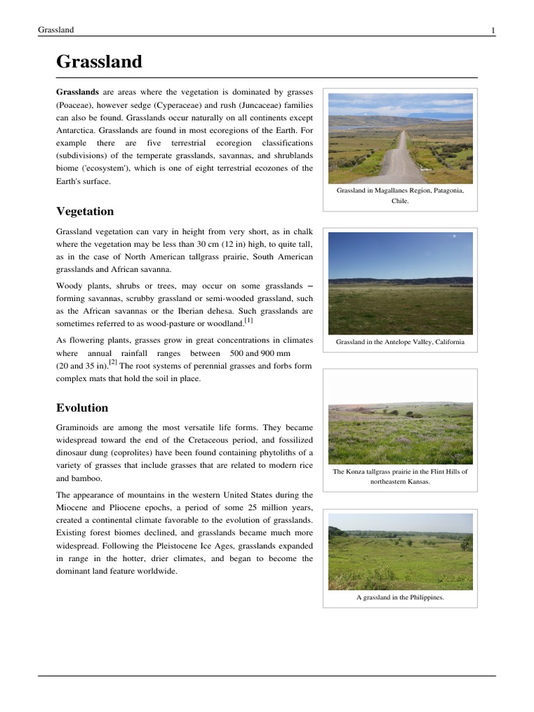 Grassland Grassland | PDF | Grassland | Biogeography