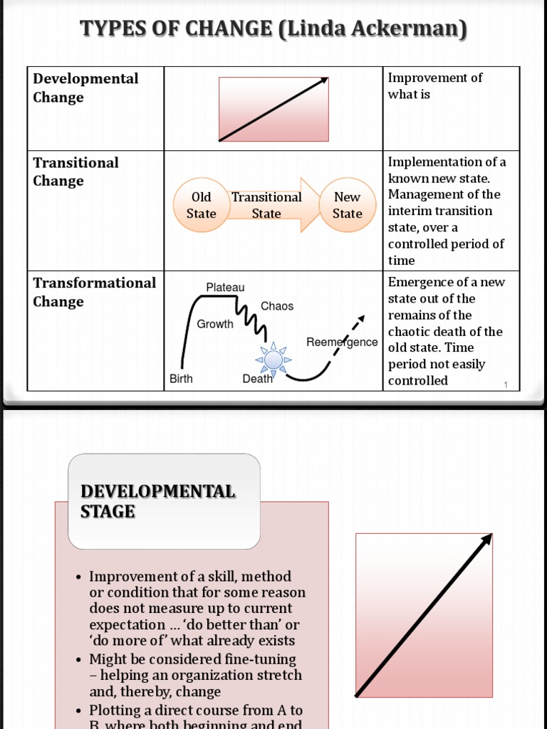 TYPES OF CHANGE (Linda Ackerman) | PDF | New Product Development ...