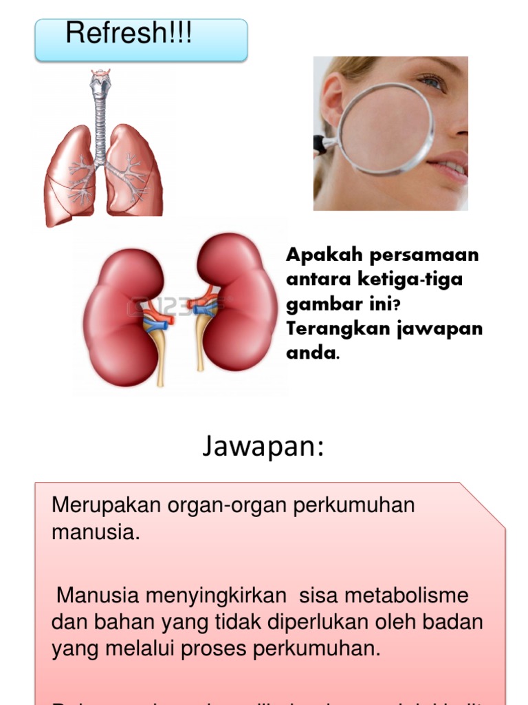 PERKUMUHAN Sains Tingkatan 3 | PDF