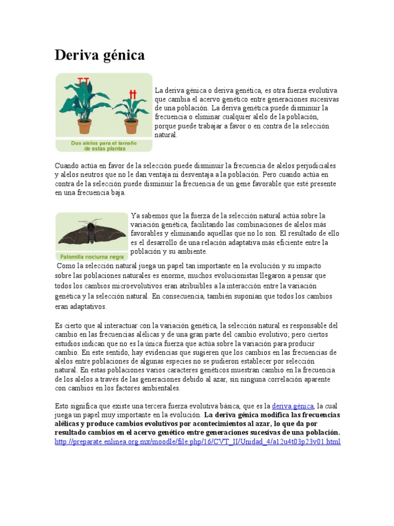Deriva Génica Resumen | PDF | Gene | Evolución