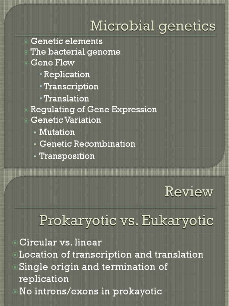 Microbial Genetics & Mutation | PDF | Bacteriophage | Plasmid