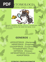 INSECTOS PLAGAS - Tara PDF | PDF | Lepidópteros | Mosca