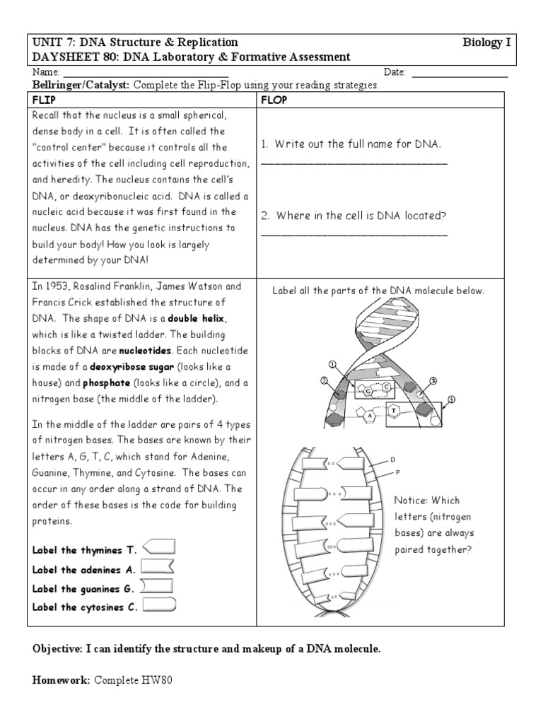 Ds80-Dna Laboratory Formative Assessment | PDF | Dna | Nucleotides