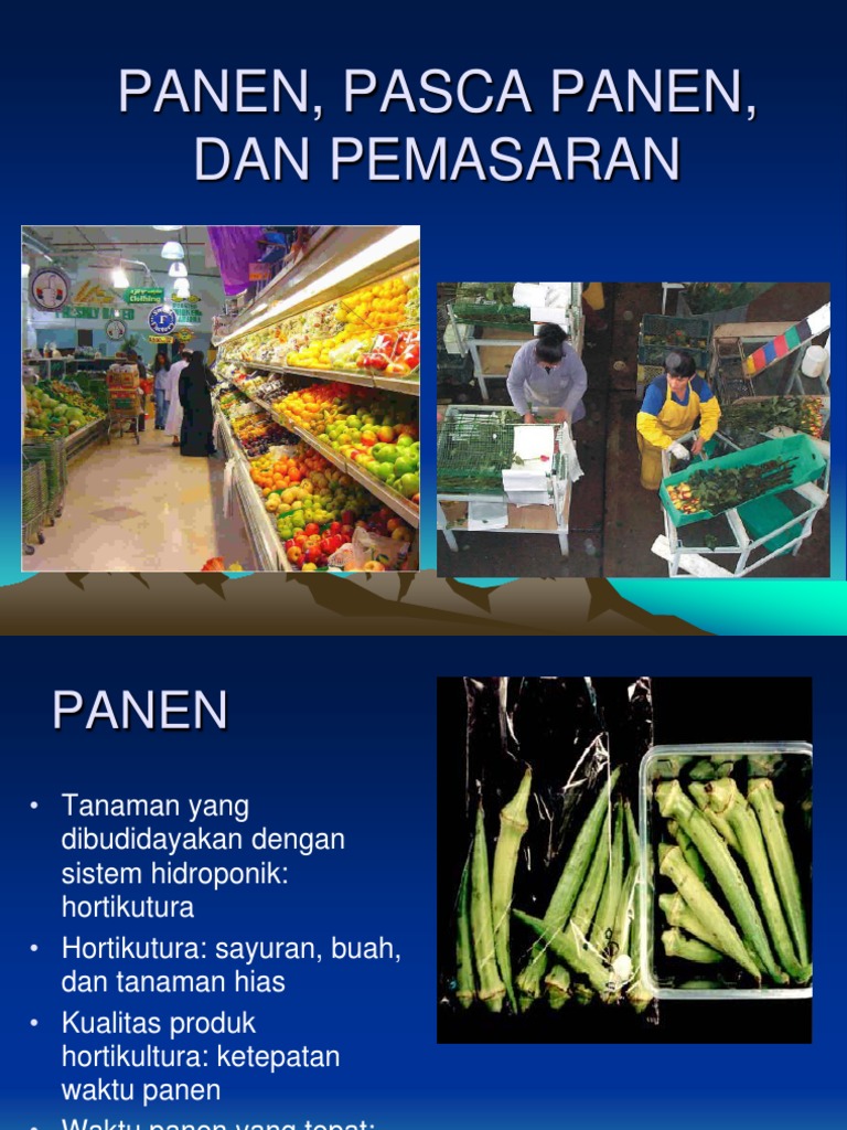 Indikator Panen dan Penanganan Pasca Panen Hortikultura | PDF ...