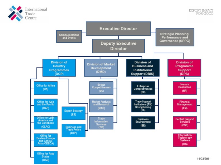 DCP Organizational Structure Overview | PDF