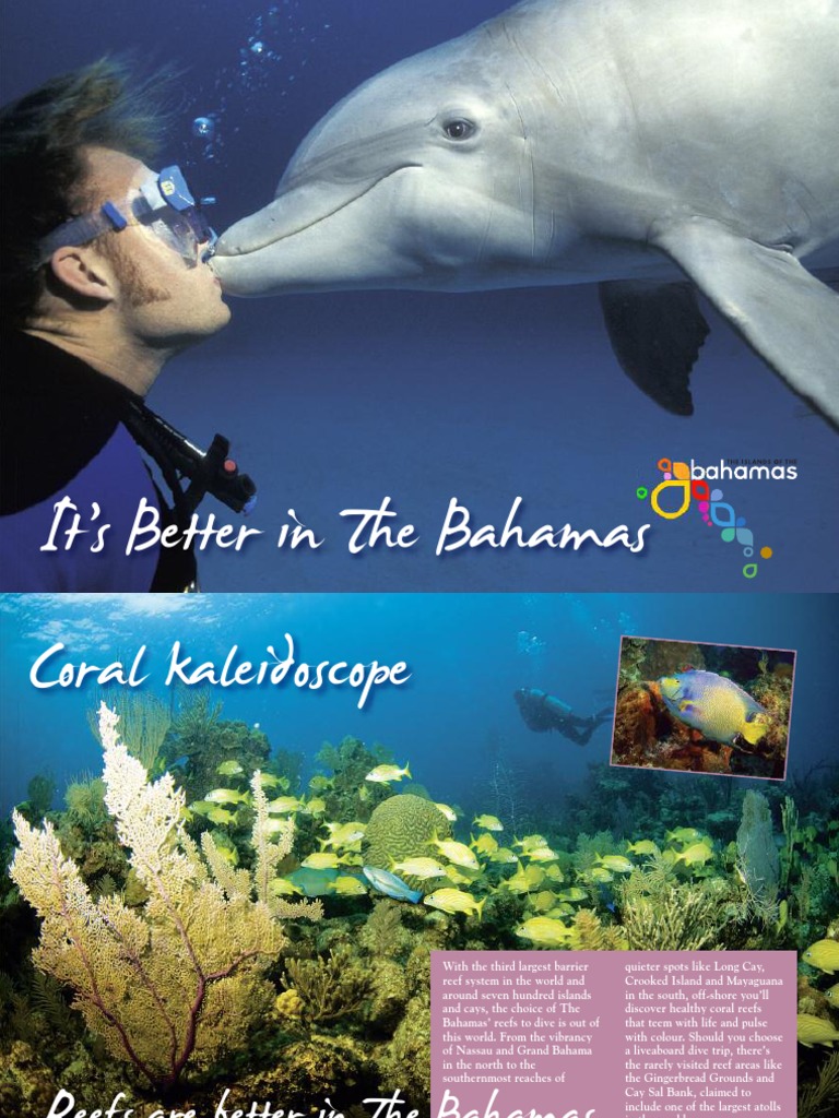Bahamas Diving Brochure | PDF | The Bahamas | Coral Reef