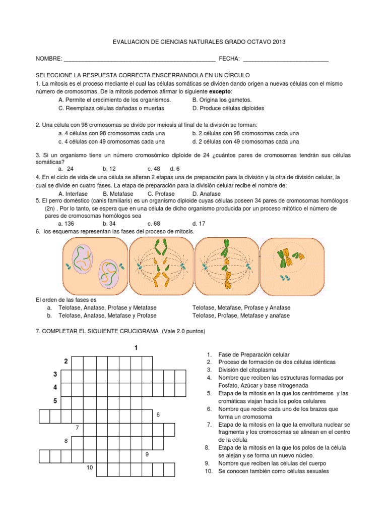 Evaluacion de Ciencias Naturales Grado Octavo2013 Mitosis Meiosis