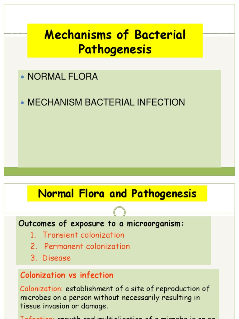 Mechanisms of Bacterial Pathogenesis: Normal Flora | PDF | Immune System | Pathogen
