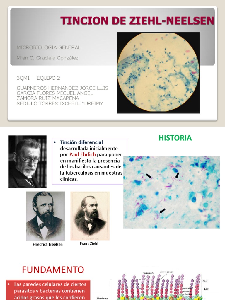 Tincion de Ziehl Neelsen | PDF | Tinción | Mycobacterium